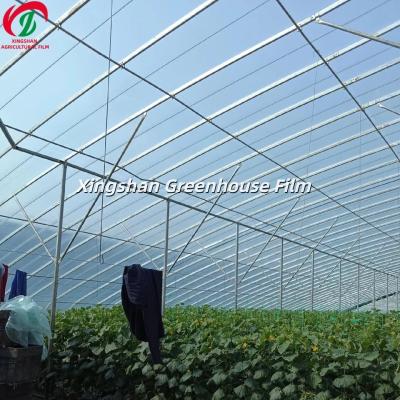 China UV Stabilized PO Greenhouse Film Long-Life Agricultural Plastic Film for sale