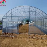 China High-Performance Polyolefin Greenhouse Film for Modern Agriculture for sale