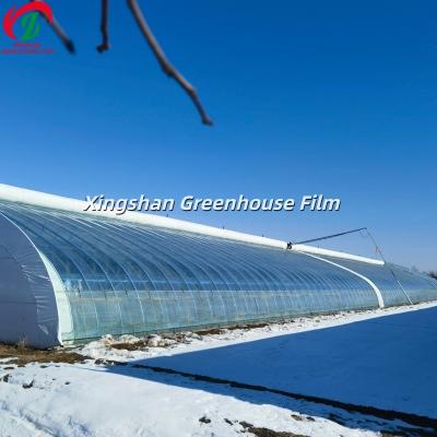 China Agricultural Polyolefin Greenhouse Film 0.06mm - 0.18mm Thickness for sale