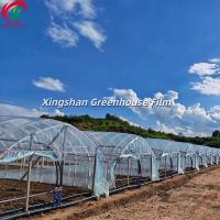 China High Light Transmission PE Greenhouse Film Plastic Polyethylene Greenhouse Cover for sale