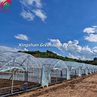 China High Light Transmission PE Greenhouse Film Plastic Polyethylene Greenhouse Cover for sale