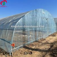 China PE Vegetable Greenhouse Film Polyethylene Plastic Sheeting For Greenhouse for sale