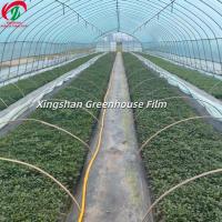 China 5 Layer UV Stabilized Polyethylene Greenhouse Film For Commercial Agriculture for sale