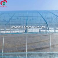 China High Light Transmission PE Greenhouse Film Plastic Polyethylene Greenhouse Cover for sale