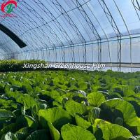 China PE Vegetable Greenhouse Film Polyethylene Plastic Sheeting For Greenhouse for sale