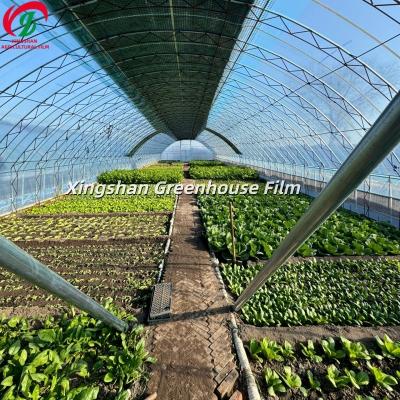 China 80 - 250μm Thickness EVA Plastic Film Thermal Insulation Agricultural Greenhouse Film for sale