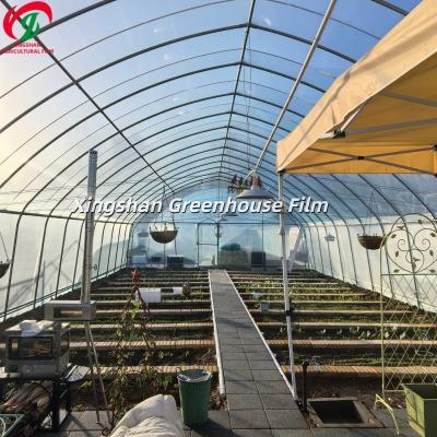 China Thermal Insulation Agriculture EVA Plastic Film Greenhouse Shade Cover Film for sale