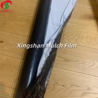 China Biodegradable Mulching Sheet Weed Barrier Sustainable Plastic Mulching In Agriculture for sale