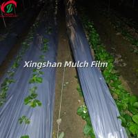 China Biodegradable Agriculture Mulch Film Plastic Ground Cover For Weed Control for sale