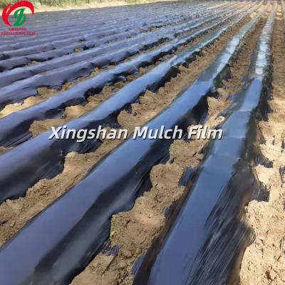China Weed Control Mulch Film PBAT PLA Biodegradable Agricultural Film for sale