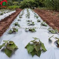 China Weed Control Mulch Film PBAT PLA Biodegradable Agricultural Film for sale