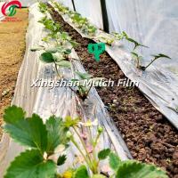 China Puncture Resistant Agricultural Mulch Film Biodegradable Mulch Film for sale