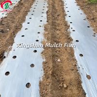 China Biodegradable Agriculture Mulch Film Plastic Ground Cover For Weed Control for sale