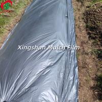 China Biodegradable Agriculture Mulch Film Plastic Ground Cover For Weed Control for sale