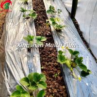 China Weed Control Mulch Film PBAT PLA Biodegradable Agricultural Film for sale