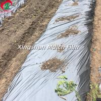 China Puncture Resistant Agricultural Mulch Film Biodegradable Mulch Film for sale