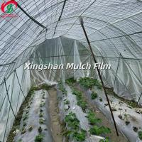 China Biodegradable Mulching Sheet Weed Barrier Sustainable Plastic Mulching In Agriculture for sale