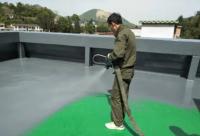 China Sprayed Polyurea vs. Hand-Applied Polyurea: Which Performs Better? for sale