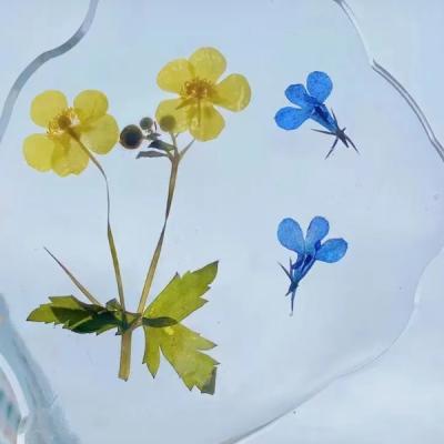China Applications of Polyaspartic Polyurea Resin for sale