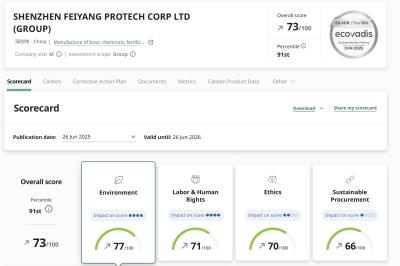 China Feiyang Protech Awarded ECOVADIS Silver Certification for sale
