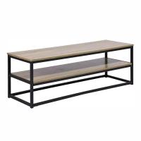 China 2 Shelves Metal Frame Living Room Furniture 120x40x42cm With Storage for sale