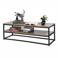 China 2 Shelves Metal Frame Living Room Furniture 120x40x42cm With Storage for sale