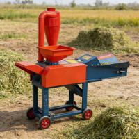China 2 in 1 Chaff Cutter Grass Shredder Machine 1-2.8t/H Feed Capacity 220V 380V for sale