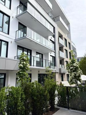 China Tempered Laminated Glass 6mm 12mm for Railing Pool Fencing Shower Door Balustrade for sale