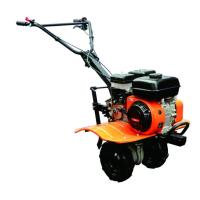 China GT500 Mini Power Belt Tiller 600 - 750mm Tilling Width for sale