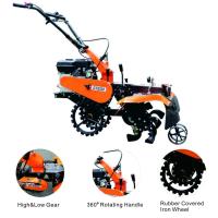 China GT600 Mini Power Belt Tiller 620mm Tilling Width Recoil Start for sale