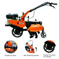 China GT600 Mini Power Belt Tiller 620mm Tilling Width Recoil Start for sale