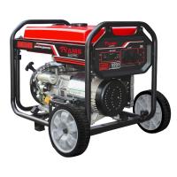 China 5.0kw Panel B Gasoline Portable Electric Generator 389cc Displacement for sale