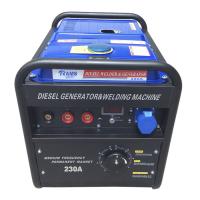 China TIG Diesel Welding Generators 230A Generator 192FE Engine Welder for sale
