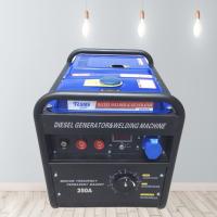 China DC 2kw 250 Amp Diesel Welder 195FE Engine Electric Start Permanent Magnet for sale