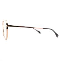 China FM2582 Lightweight Round Metal Glasses Frame , Customized Optical Spectacle Frame for sale