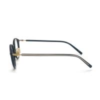 China BD005T Vintage/Fashion Acetate Metal Frames Stylish and Trendy for sale