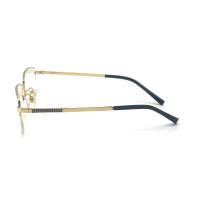 China TD012 Comfortable and Durable Titanium Frame for sale