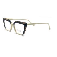 China AD195 Stylish Acetate Optical Frame for All Occasions for sale