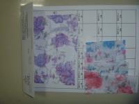 China COTTON PRINTING FABRIC for sale