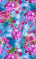 China 100% SPUN POLYESTER VOILE PRINTING FABRIC ,50,000 Designs available for printing degital printing for sale
