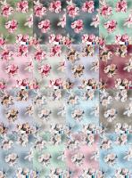China 00144 Spun Polyester Super Twisted Full Voile NON-HAIR Finish digital printing for sale