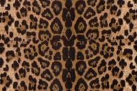 China 100% polyester and velboa fabricWidth: 60 inchesUsed for toy, shoes and bagsWeight: 200 to 300gsm for sale
