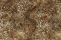 China 100% polyester and velboa fabricWidth: 60 inchesUsed for toy, shoes and bagsWeight: 200 to 300gsm for sale