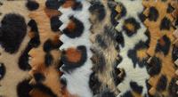 China Tricot Velboa print flocking fabric zebra print plush flock fabric wholesale best quality for sale