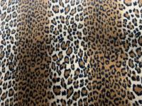 China Velboa Printing fabric soft finish with high quality zebra design, snake design, any fashion design finest quality super for sale