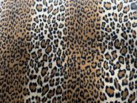 China Velboa Printing fabric soft finish with high quality zebra design, snake design, any fashion design finest quality super for sale