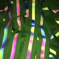 China Custom 2 Inch Reflective Logo on 25mm*100m per Roll Nylon Webbing Tape for Clothing for sale
