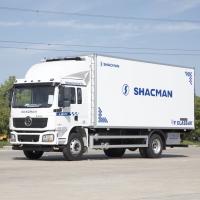 China SHACMAN 4x2 12-15 Ton Thermo King Refrigerated Truck 210HP for Frozen Meat Fish Delivery for sale