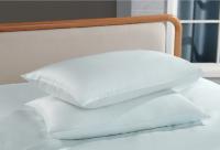 China 100% TENCEL Fiber Light Green Duvet Cover Super King Duvet Cover Set for sale