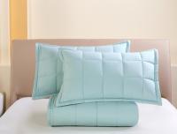 China Breathable Cotton Quilt Set OEKO-TEX Light Green Quilt Cover Set OEM for sale